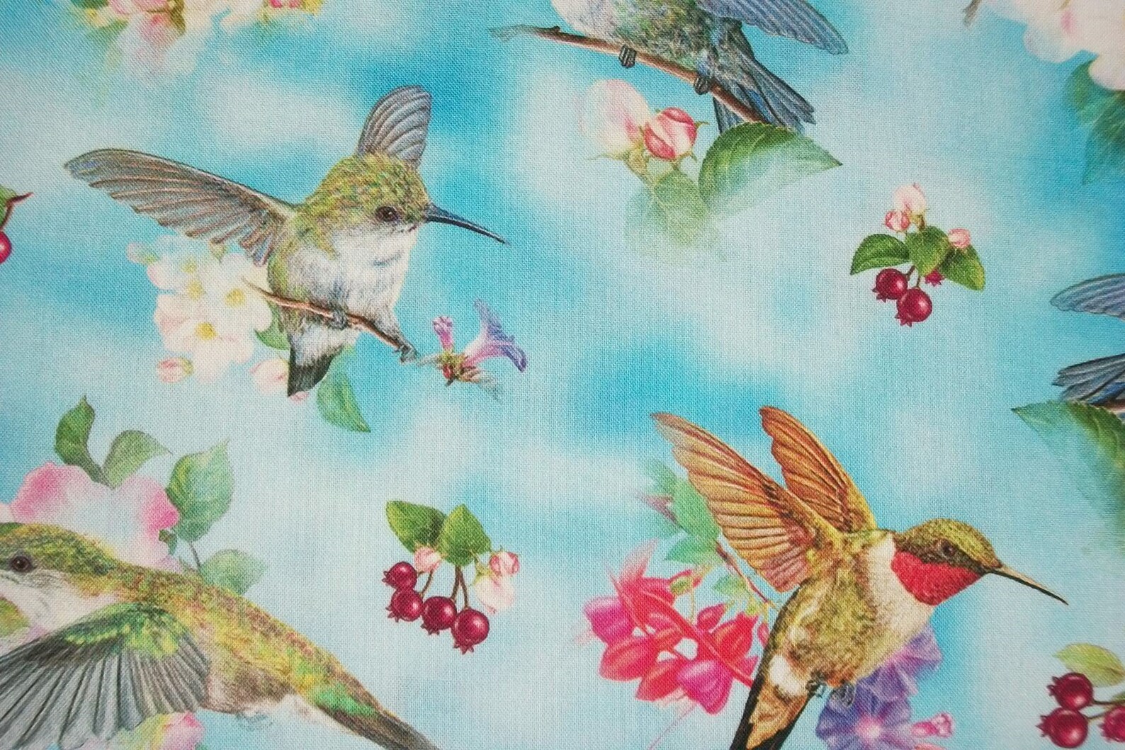 Hummingbird Fabric Bird Fabric By The Yard Winter Fabric | Etsy