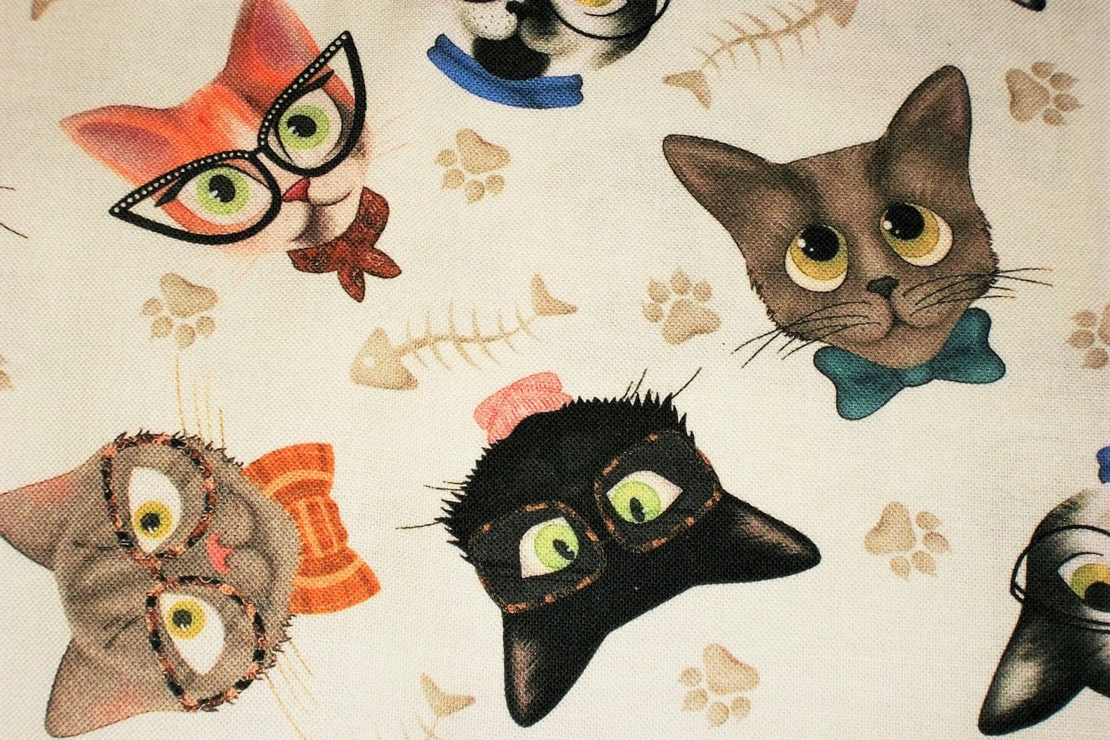 Cat Fabric Kitty Fabric by the Yard Timeless Treasures - Etsy
