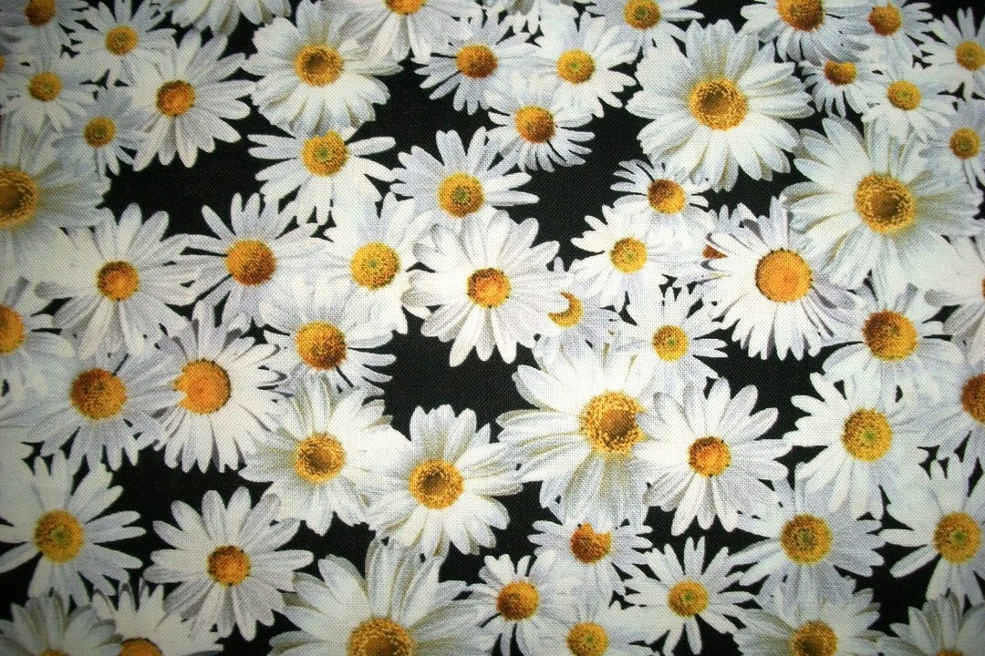 Flower Fabric, Daisy Fabric, Spring Fabric, by the Yard, Timeless ...