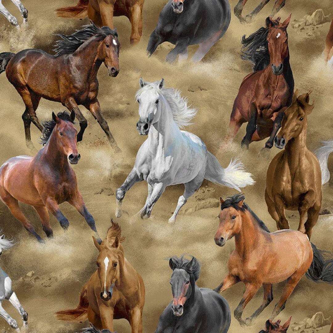 Horse Fabric, Country Fabric, by the Yard, Timeless Treasurers, Cowboy Fabric, Sewing Crafting ...