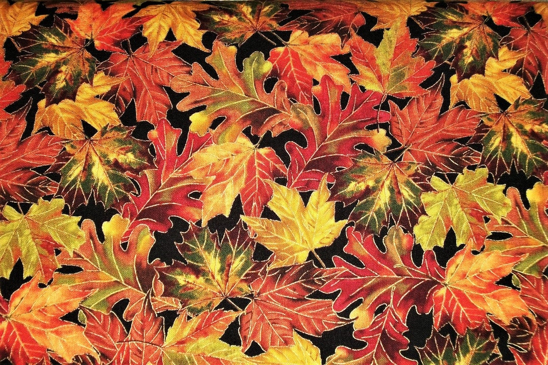 Fall Fabric, Fall Leaf Fabric, by the Yard, Timeless Treasure, Autumn ...
