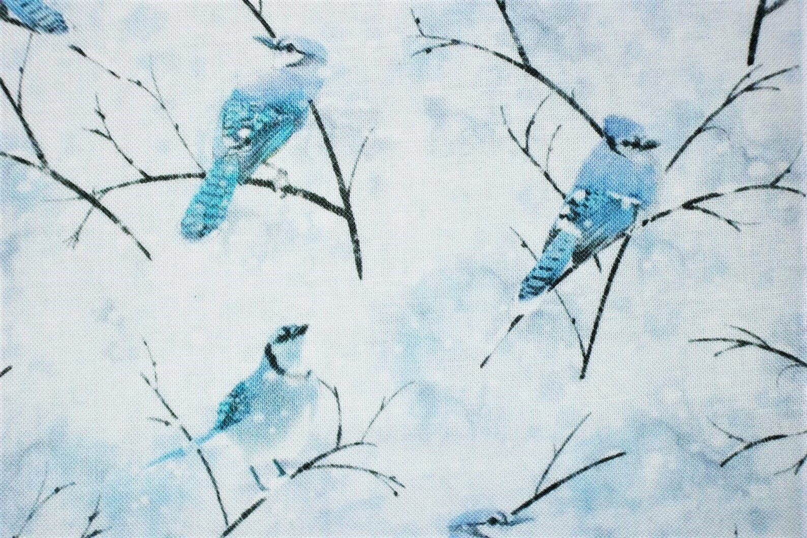 Bird Fabric, Blue Jay Fabric, by the Yard, Winter Fabric, Timeless ...