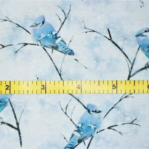 Bird Fabric, Blue Jay Fabric, by the Yard, Winter Fabric, Timeless ...