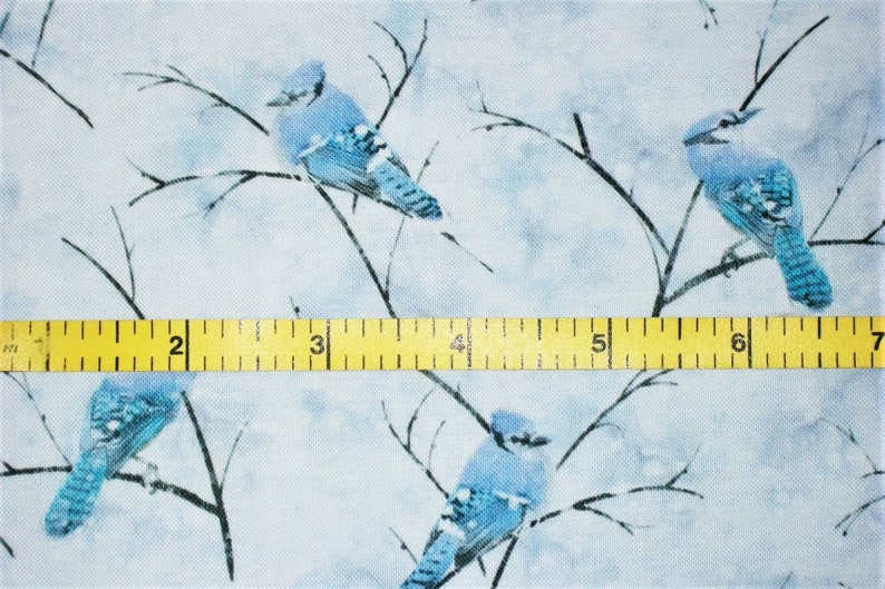 Bird Fabric, Blue Jay Fabric, by the Yard, Winter Fabric, Timeless ...