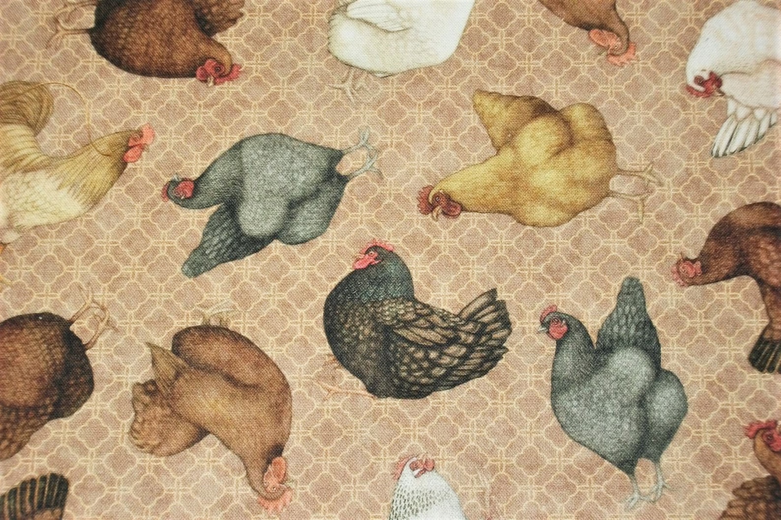 Chicken Fabric Hen Fabric By The Yard QT Fabrics Country | Etsy