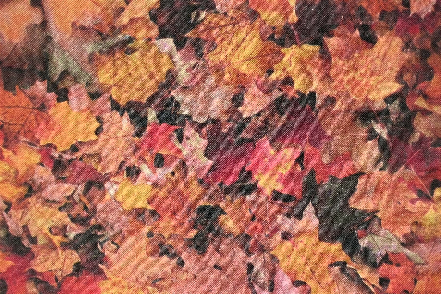 Fall Fabric Fall Leaf Fabric By The Yard QT Fabrics Autumn | Etsy