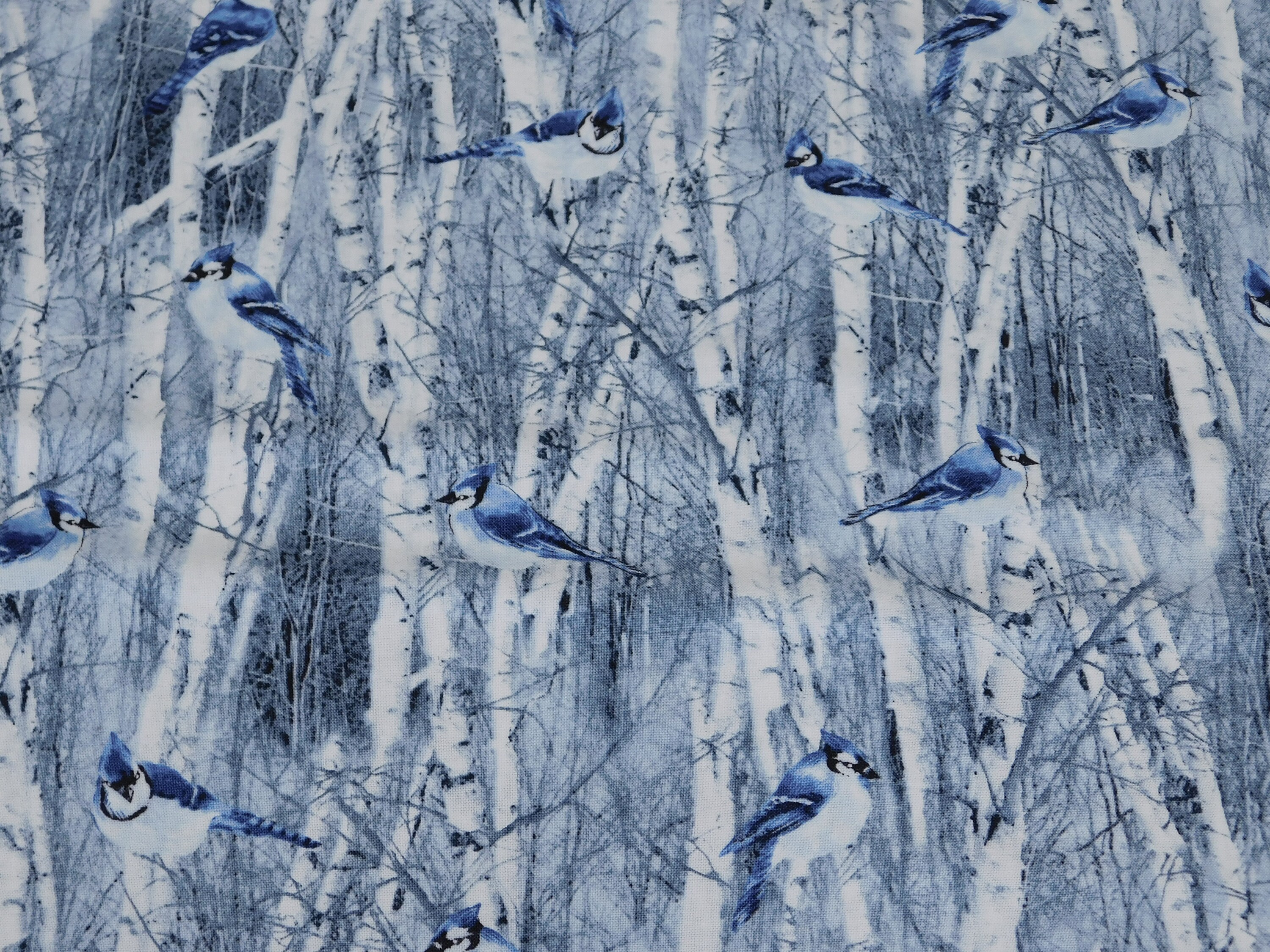 Bird Fabric Blue Jay Fabric by the Yard Winter Fabric - Etsy
