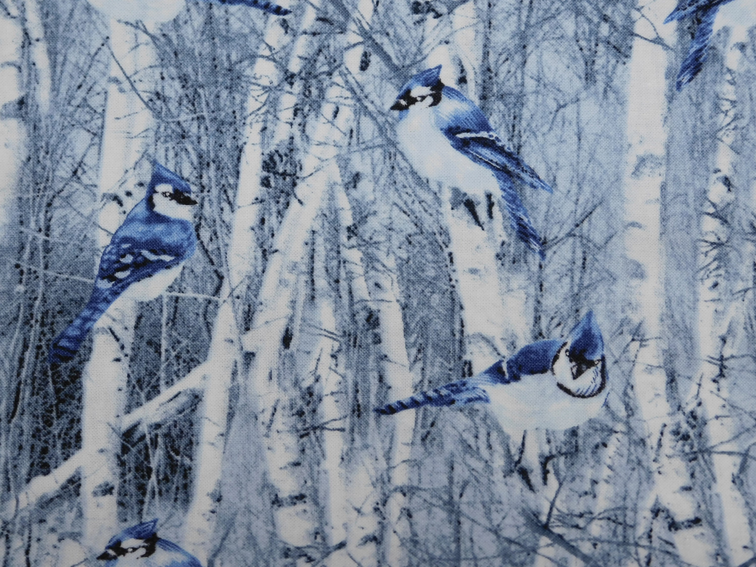 Bird Fabric Blue Jay Fabric by the Yard Winter Fabric - Etsy