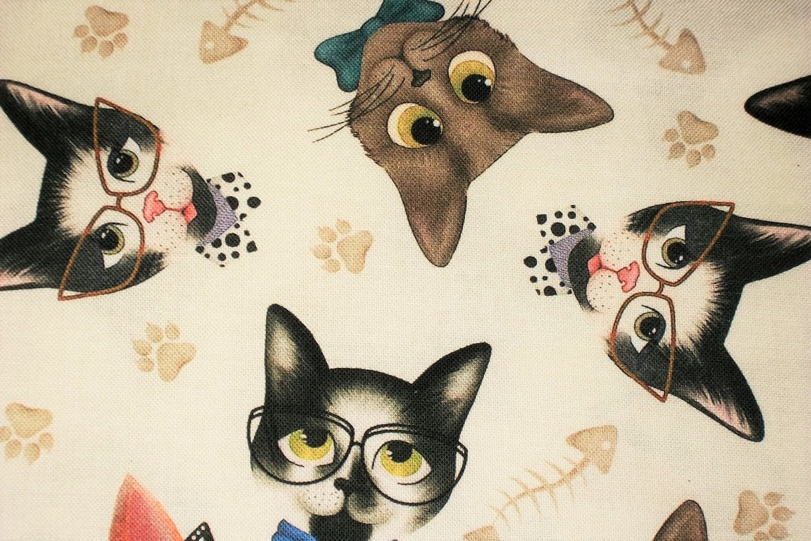 Cat Fabric Kitty Fabric by the Yard Timeless Treasures - Etsy