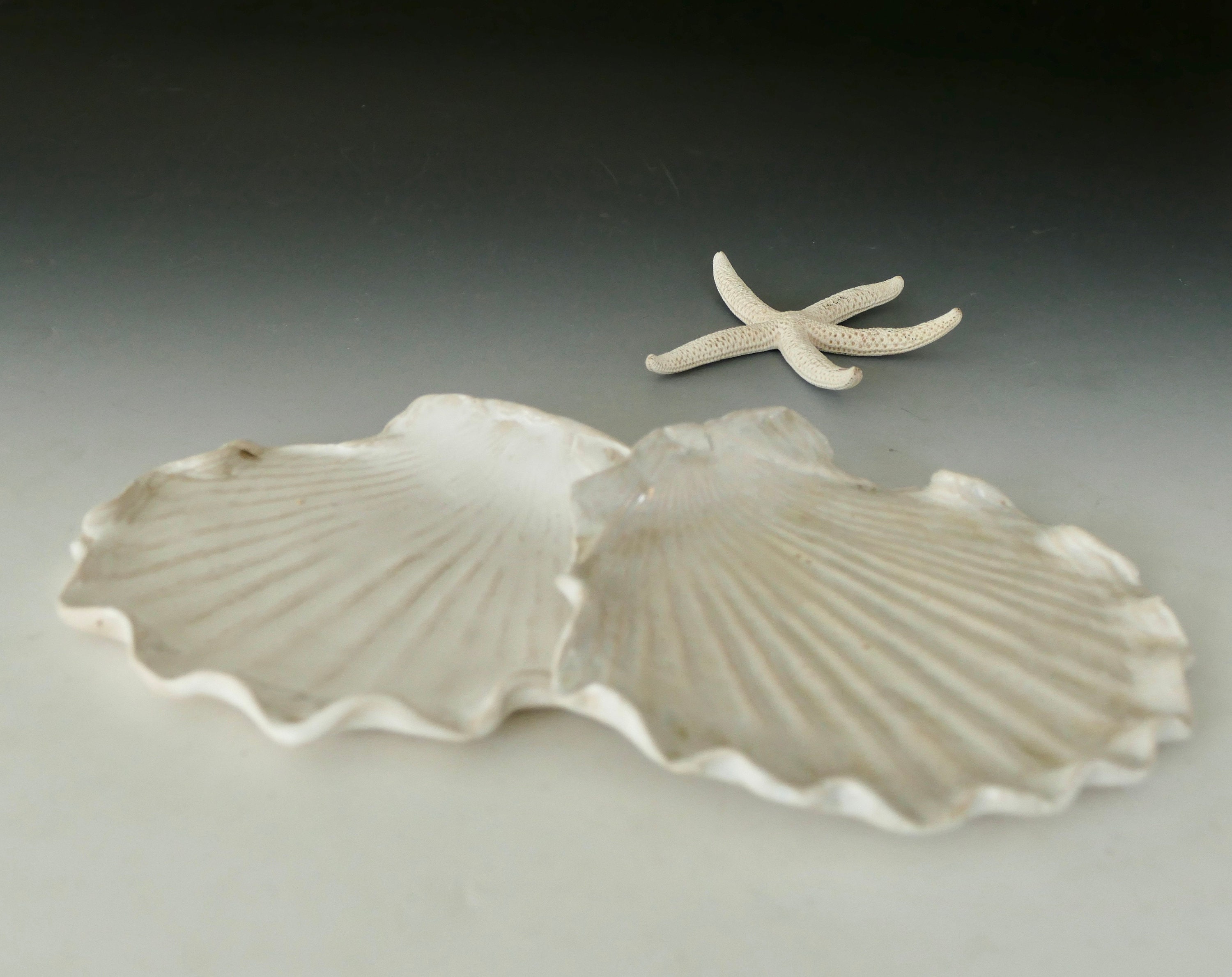 Beautiful White Shell Plates These Handmade Plates Are the | Etsy