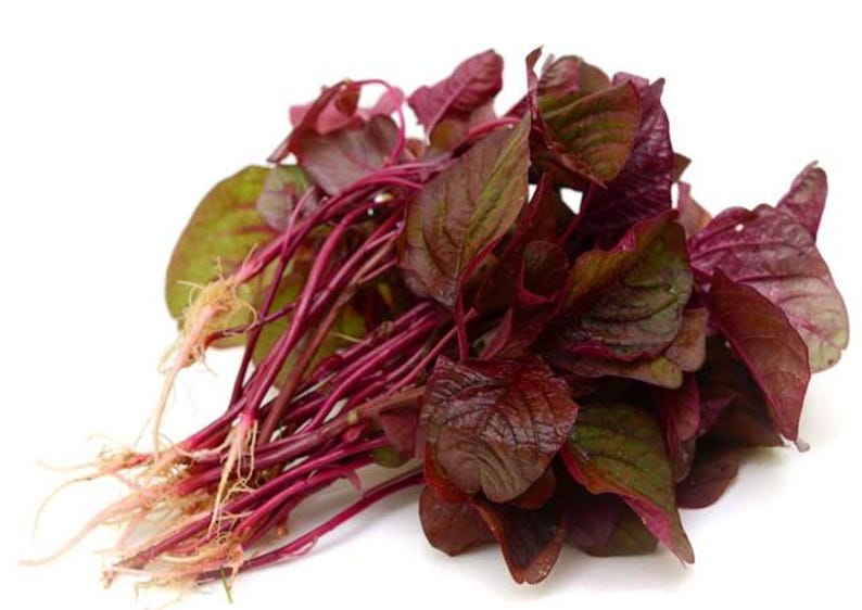 Heirloom Deep Red Amaranth Seeds: Organic Non-gmo - Etsy