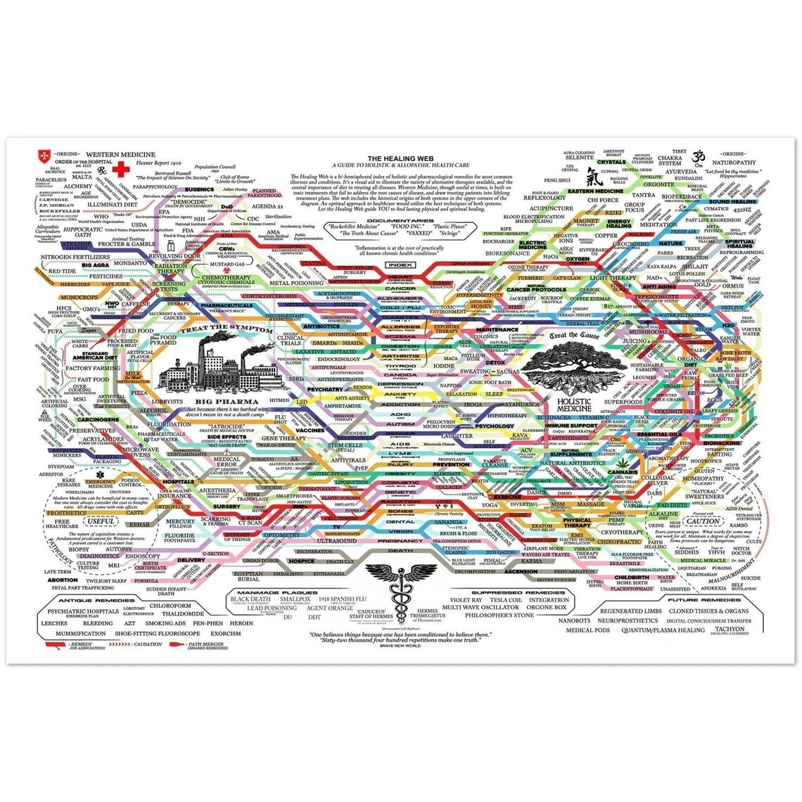 The Healing Web Modern Medicine Alternative Health Chart Poster - Etsy