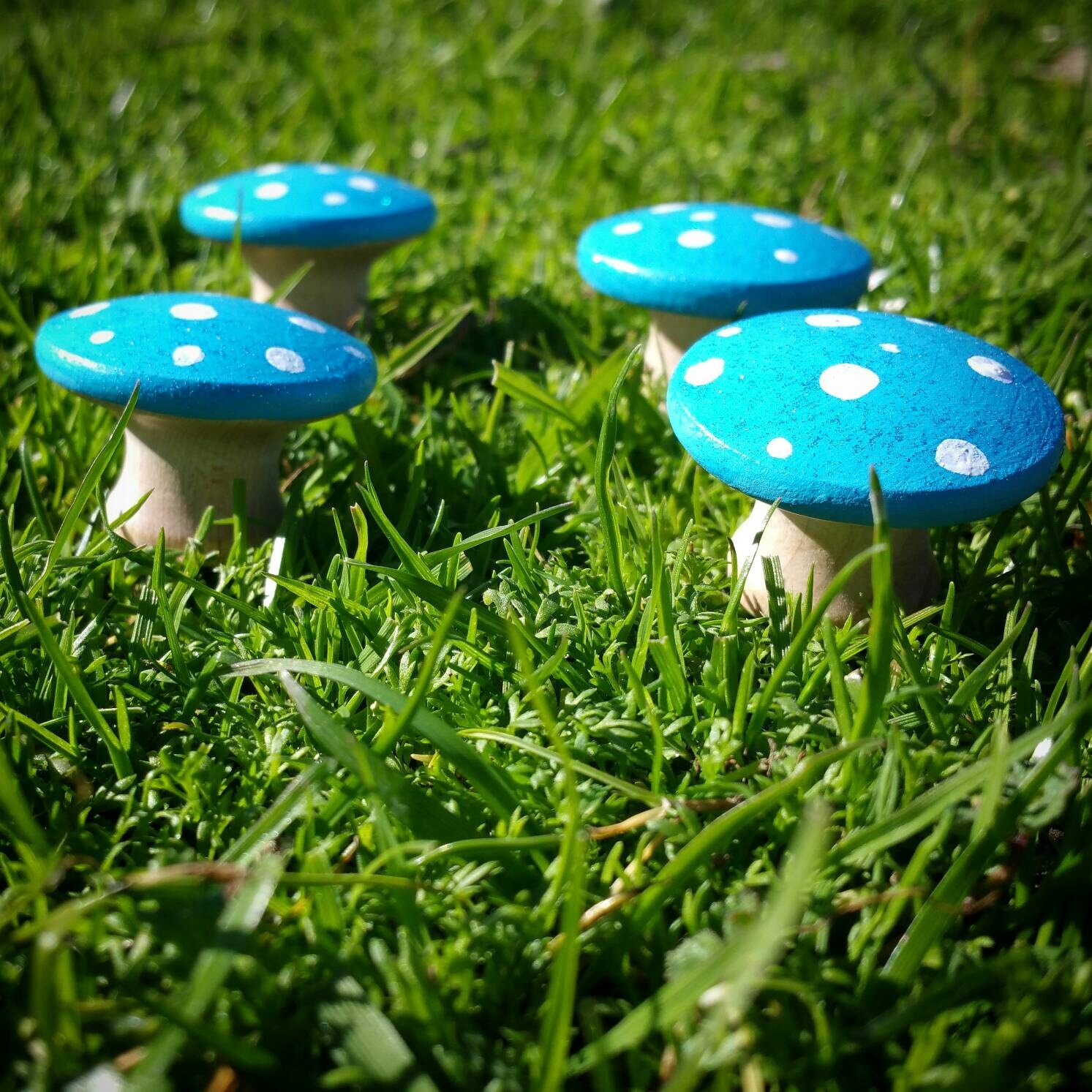 Fairy Toadstools Wooden Mushrooms Fairy Garden Toadstool - Etsy