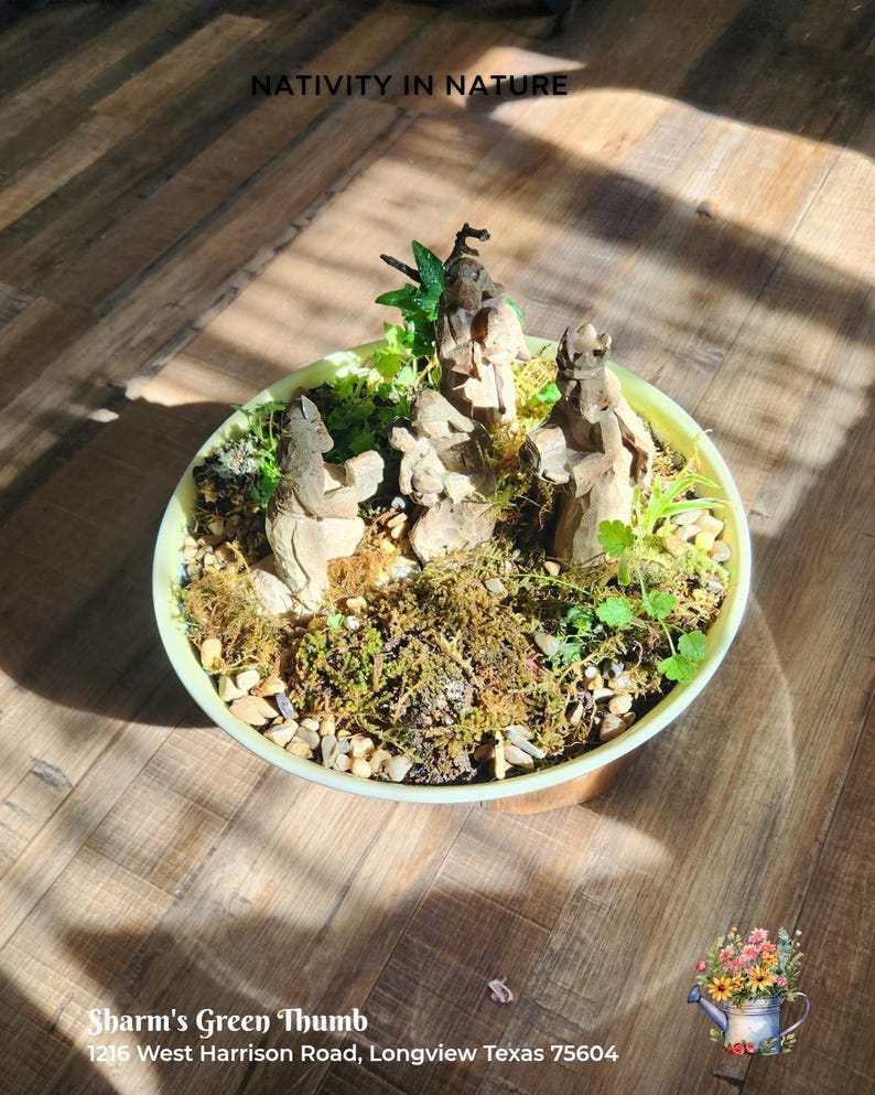 Handcrafted Nativity Scene Centerpiece Terrarium | Live Moss & Pet Safe ...