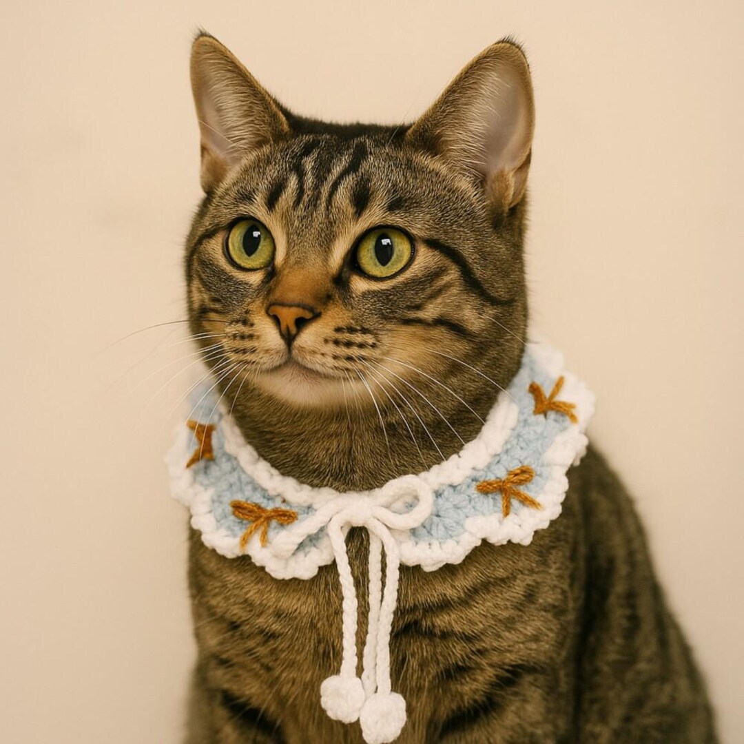 Crochet Cat Collar Pattern, Cat Hat Crochet Pattern, Colorful Hat ...