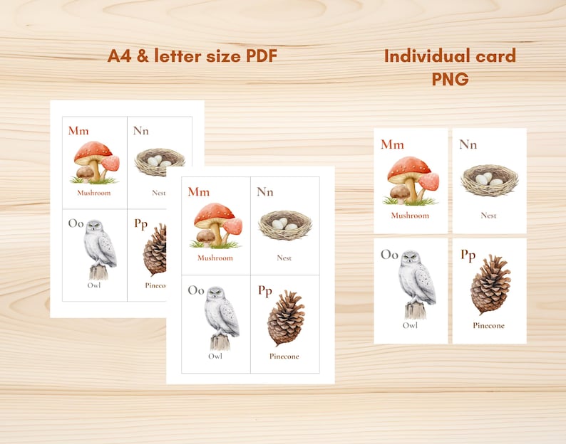 Nature Alphabet Flashcards: Watercolor Woodland ABC Printable (PDF) - Etsy