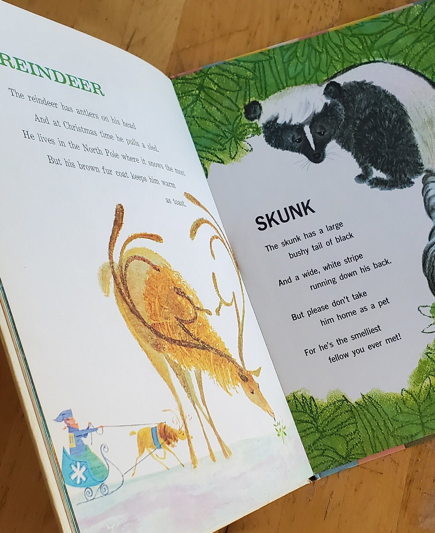 The Wild and Woolly Animal Book Random House Copyright 1961 by Nita ...