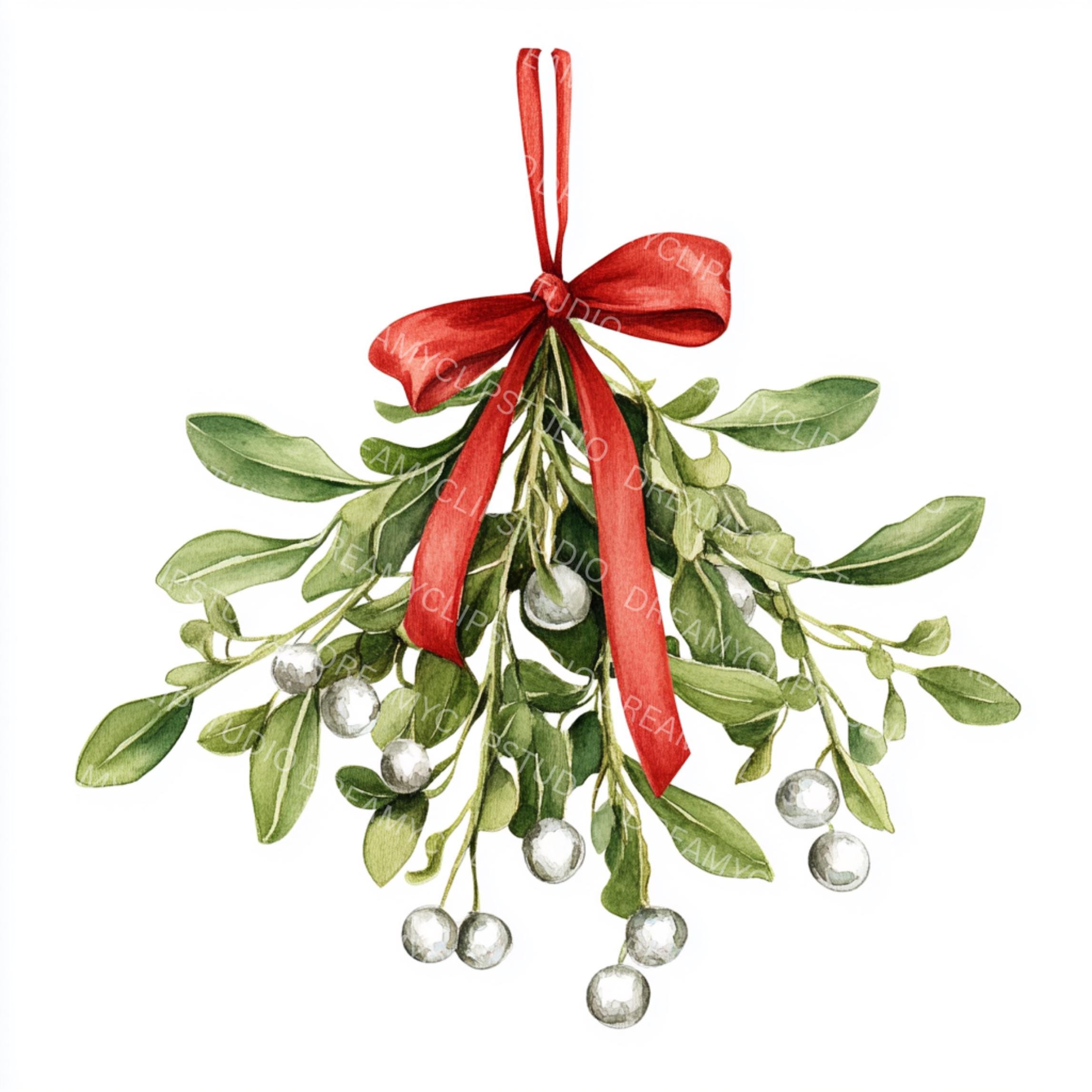 Watercolor Mistletoe Clipart: Festive Christmas Jpgs (digital Download ...