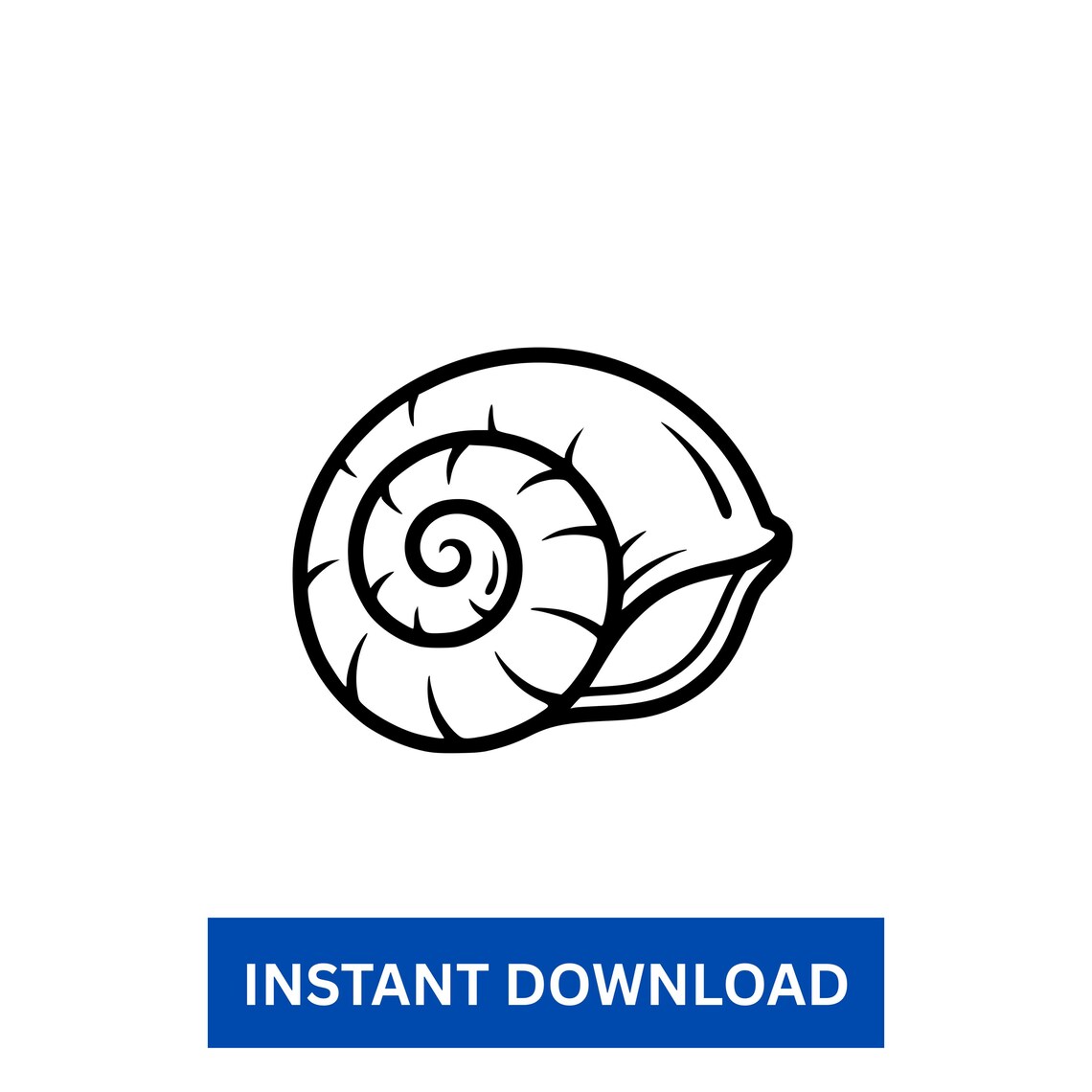Seashell SVG PNG, Sea Shell Cut File, Ocean Nature Line Art: Bold ...