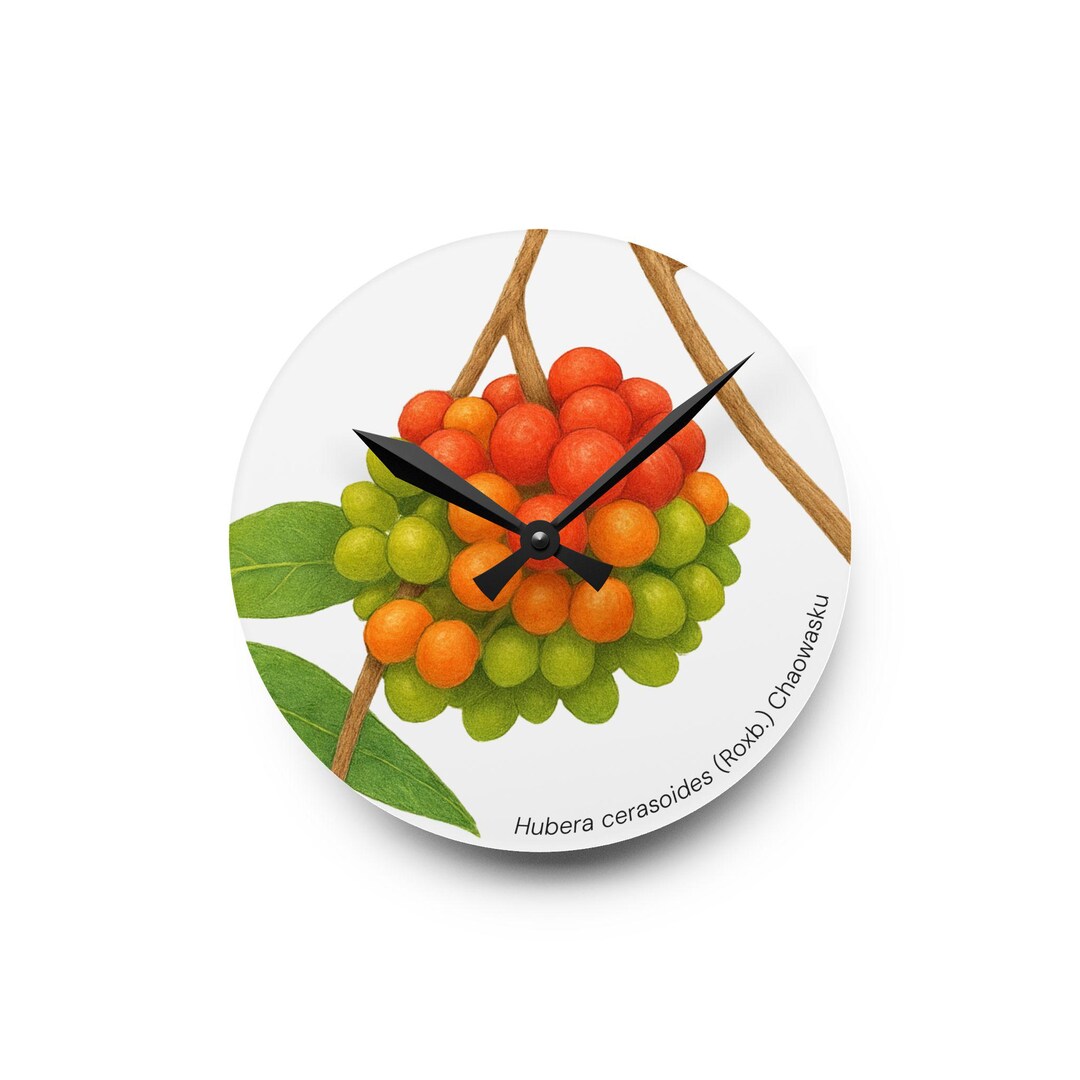 Botanical Acrylic Wall Clock: "hubera Cerasoides" Nature-inspired Decor ...