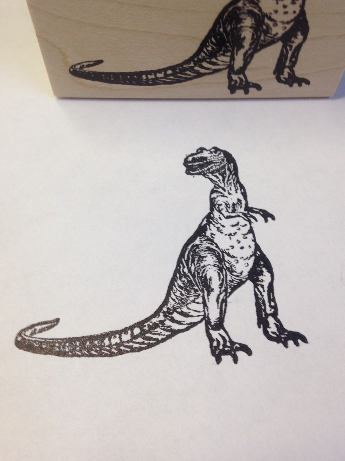 T Rex Dinosaur Wood Mounted Rubber Stamp 952 - Etsy