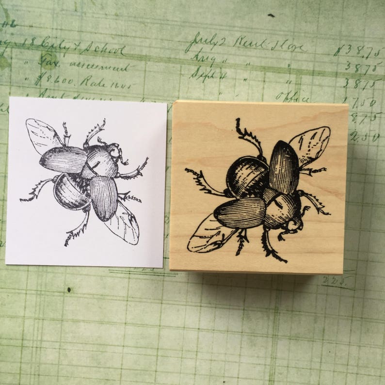Big Scarab Beetle Rubber Stamp 6691 - Etsy