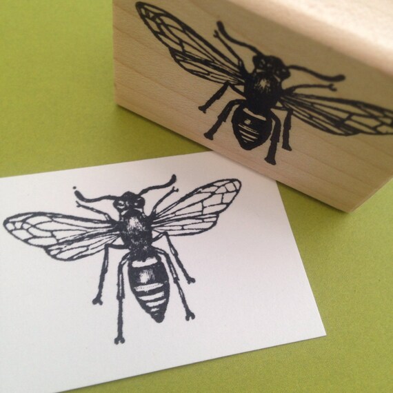 Apropiado Recoger hojas Susteen avispa del papel reparar madera Alérgico