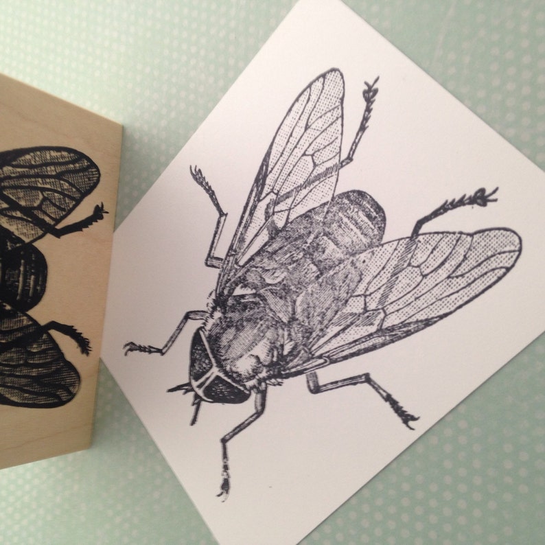 Huge House Fly Wood Mounted Rubber Stamp 3755 - Etsy