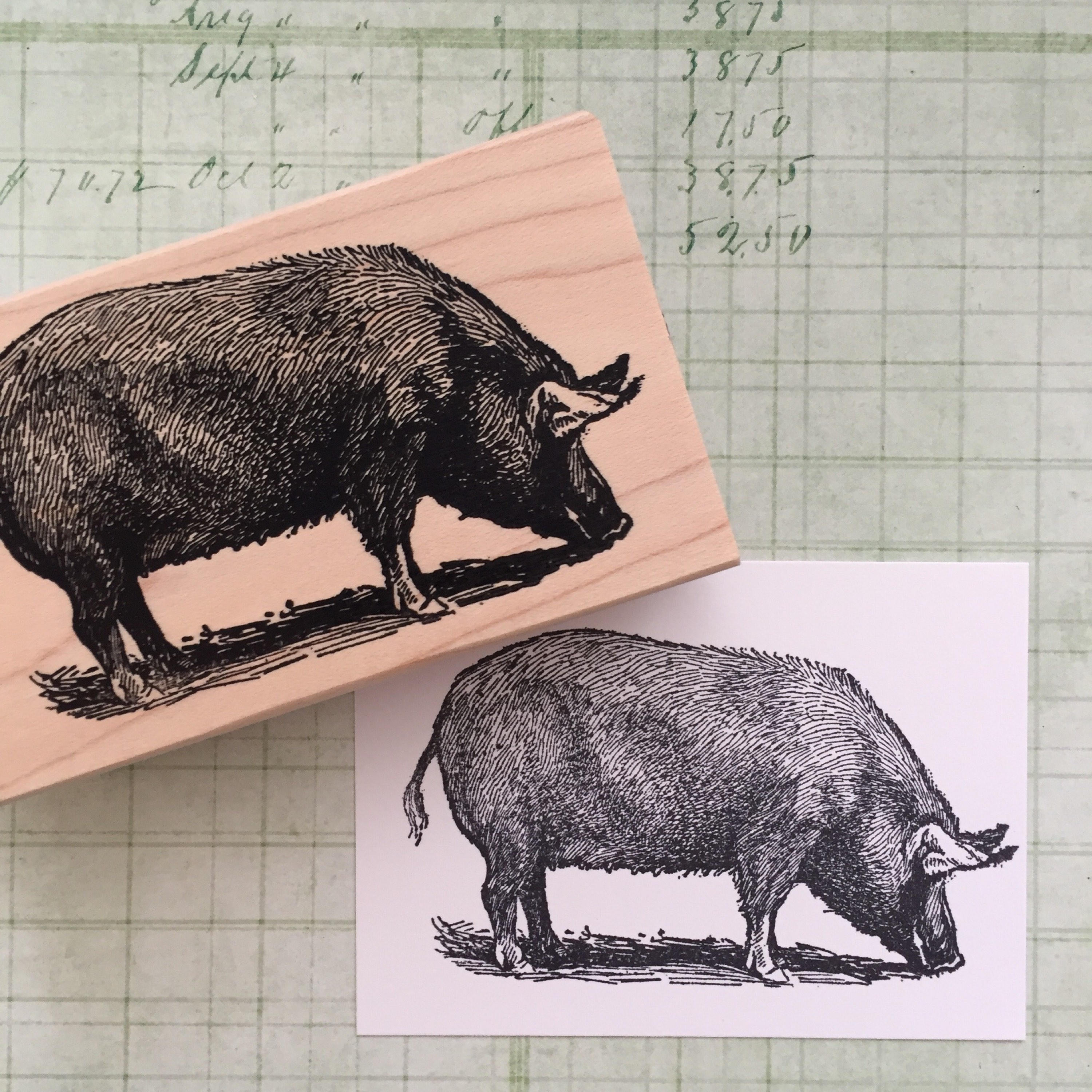 Big Pig Rubber Stamp 4227 - Etsy