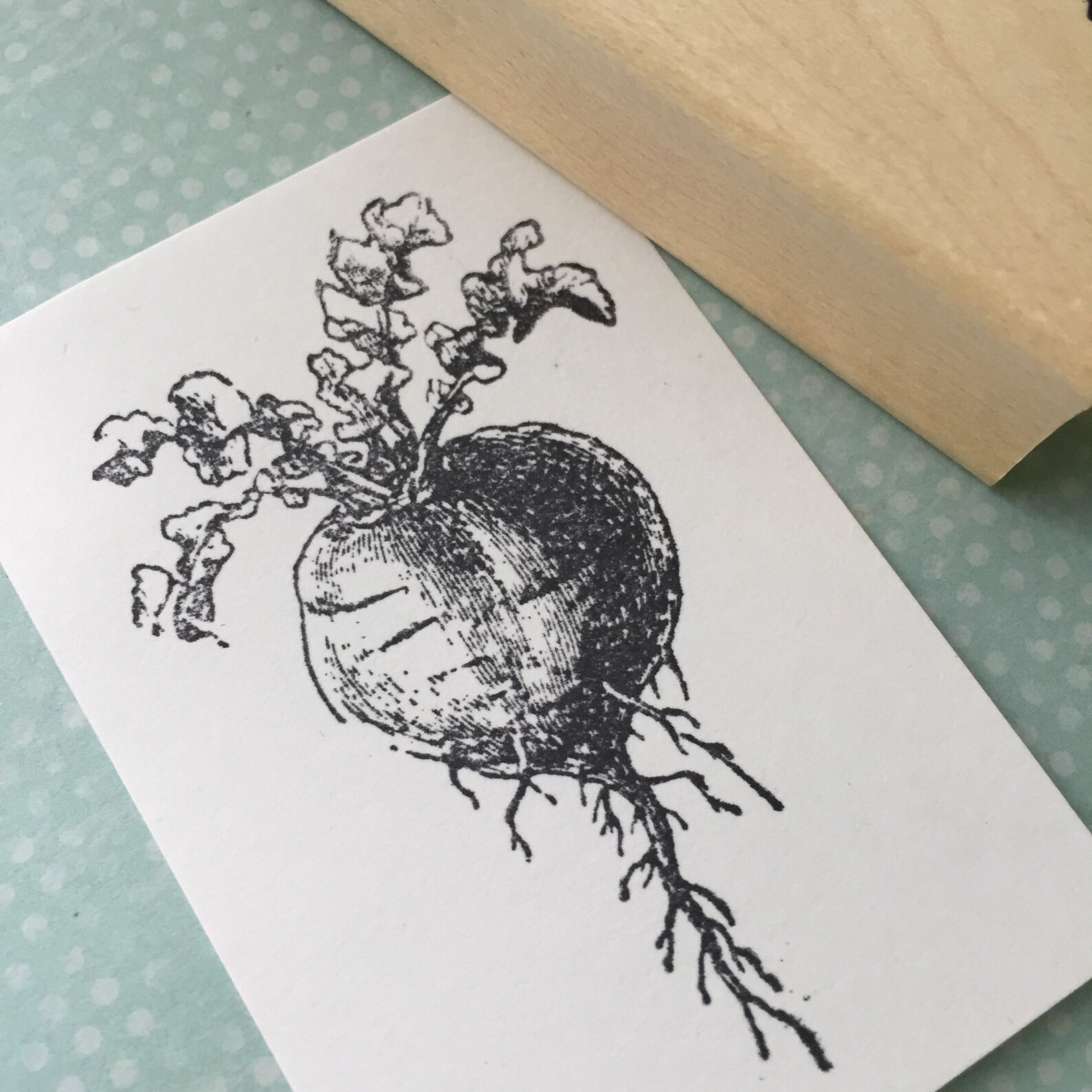 Large Beet Root Vegetable Rubber Stamp 6673 - Etsy