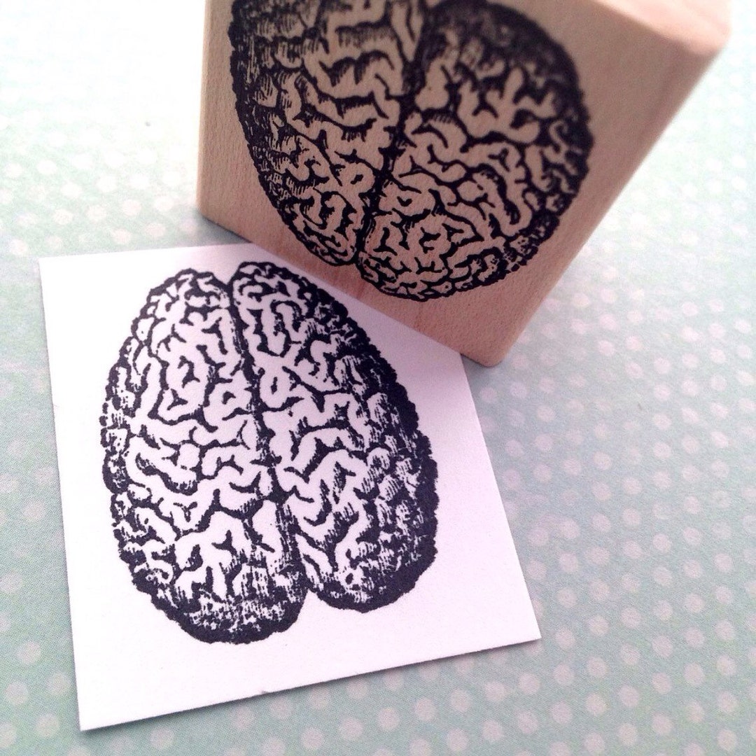 Brain Wood Mounted Rubber Stamp 4740 - Etsy
