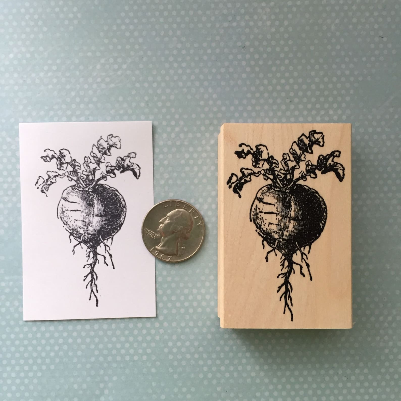 Large Beet Root Vegetable Rubber Stamp 6673 - Etsy