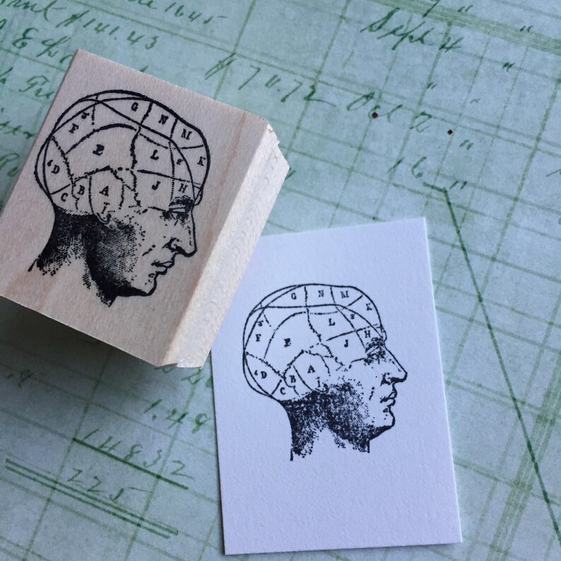 Small Diagramed Head Rubber Stamp - Etsy