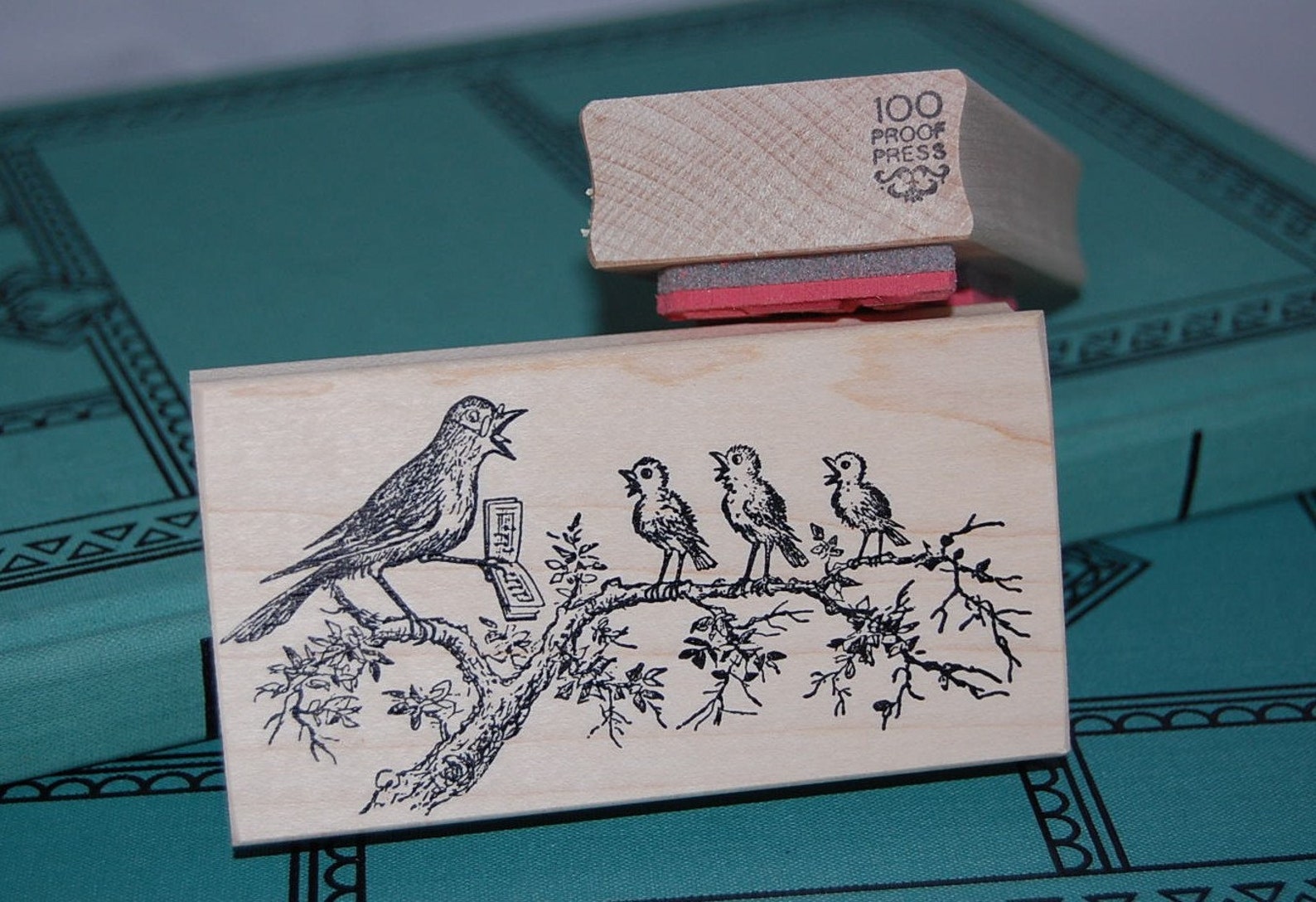 Songbirds Singing Lesson Wood Mounted Rubber Stamp 3313 - Etsy