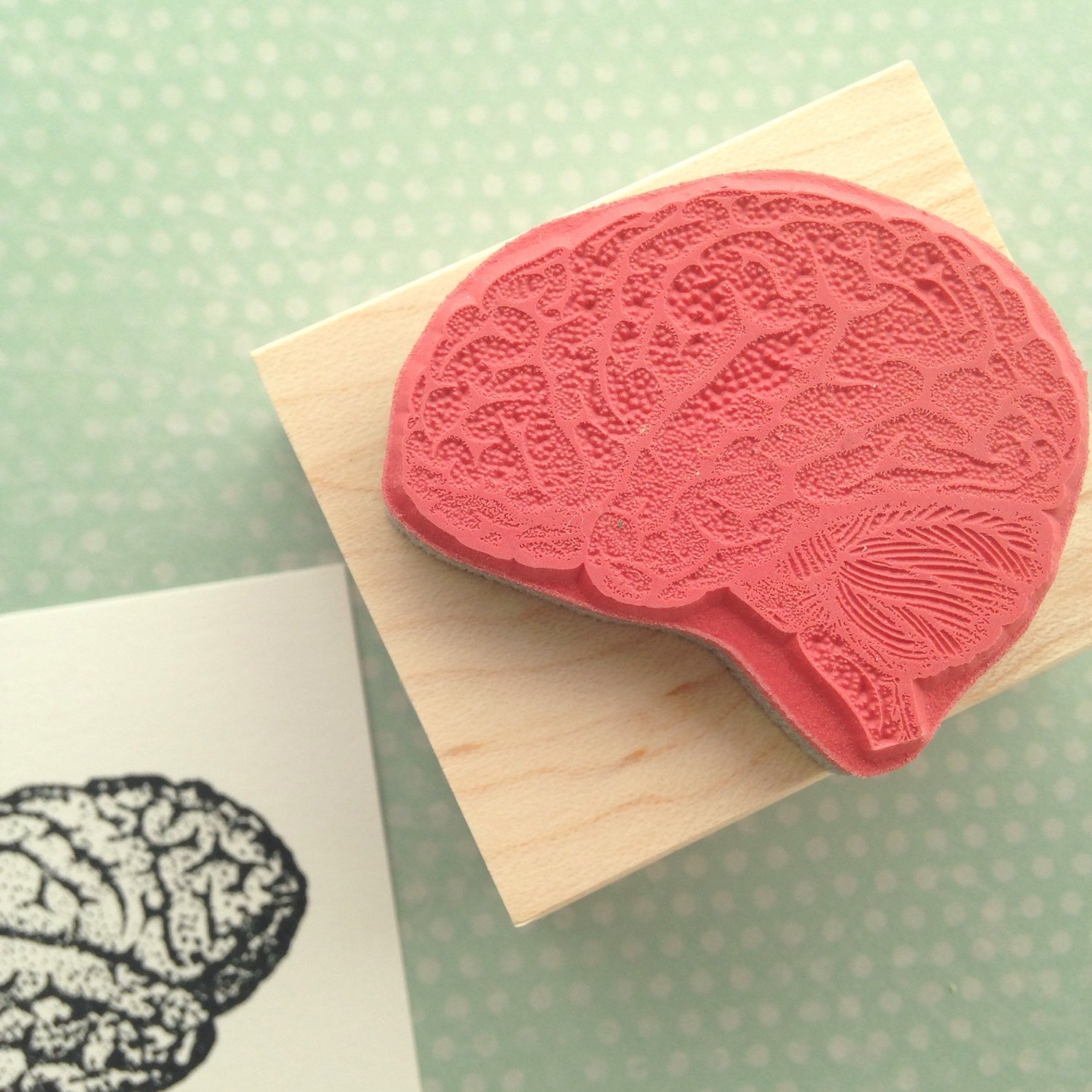 Brain Side View Wood Mounted Rubber Stamp 1284 - Etsy