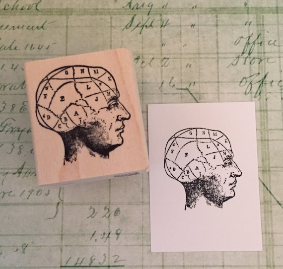 Small Diagramed Head Rubber Stamp | Etsy
