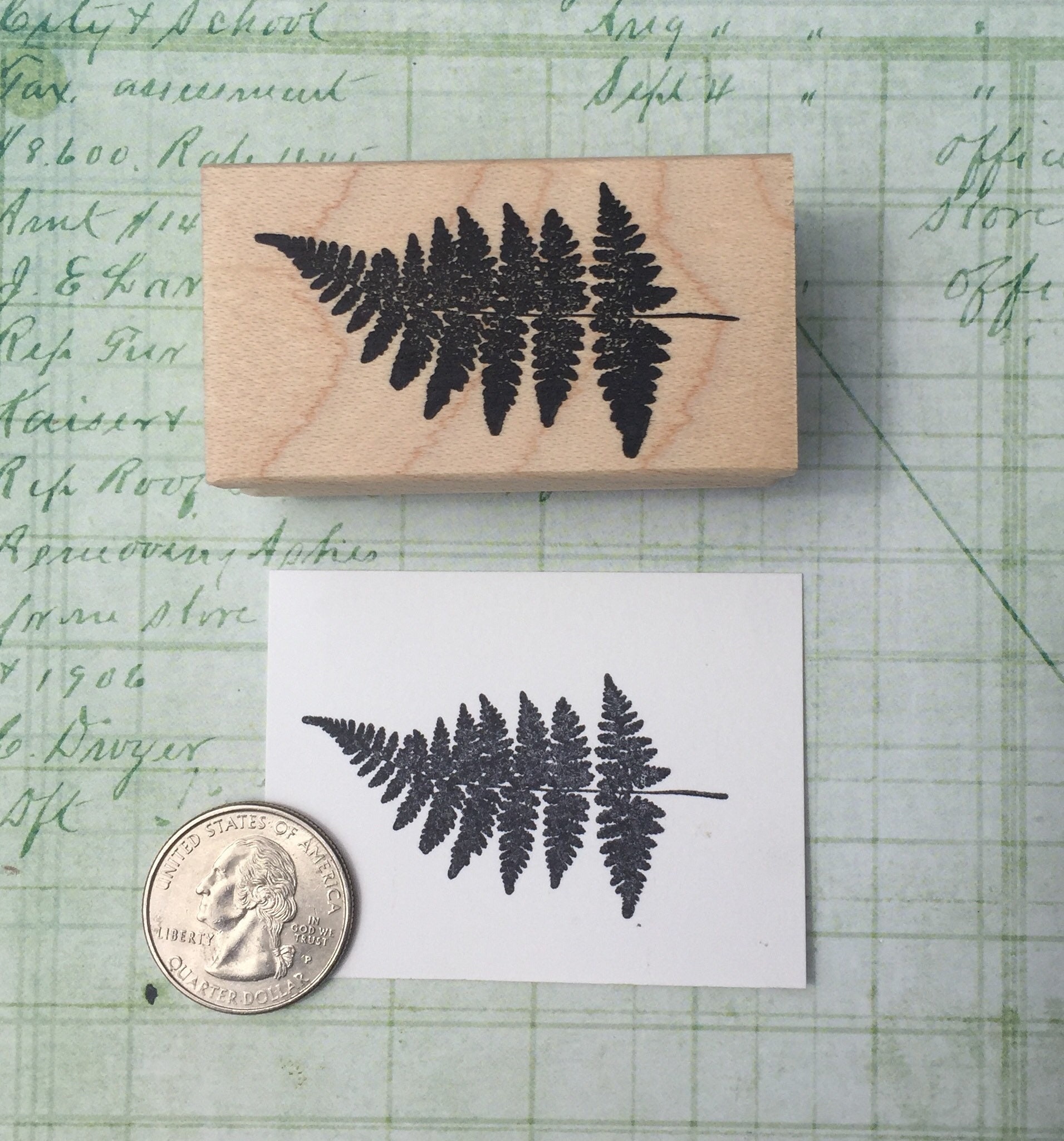Fern Leaf Rubber Stamp 1765 - Etsy