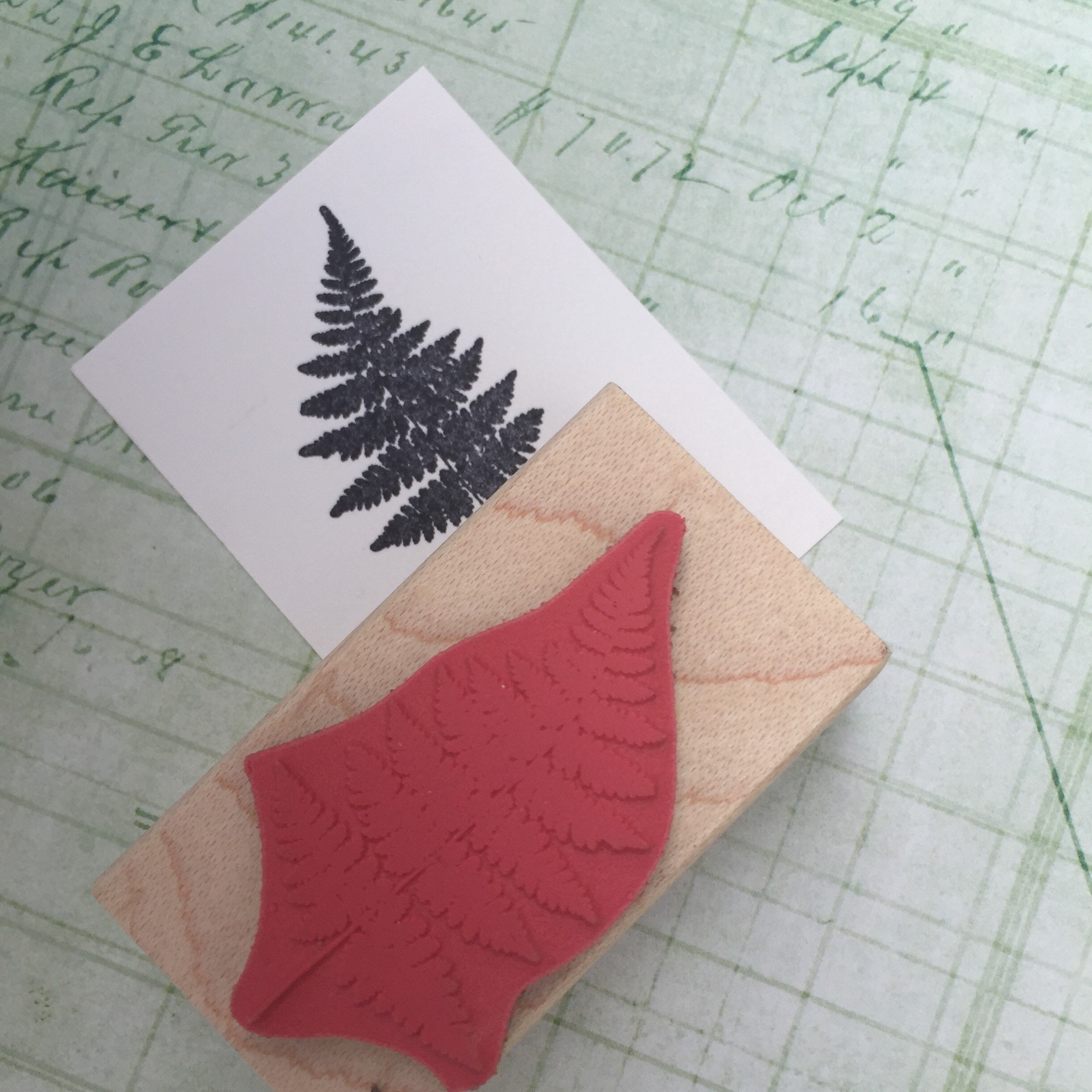 Fern Leaf Rubber Stamp 1765 - Etsy