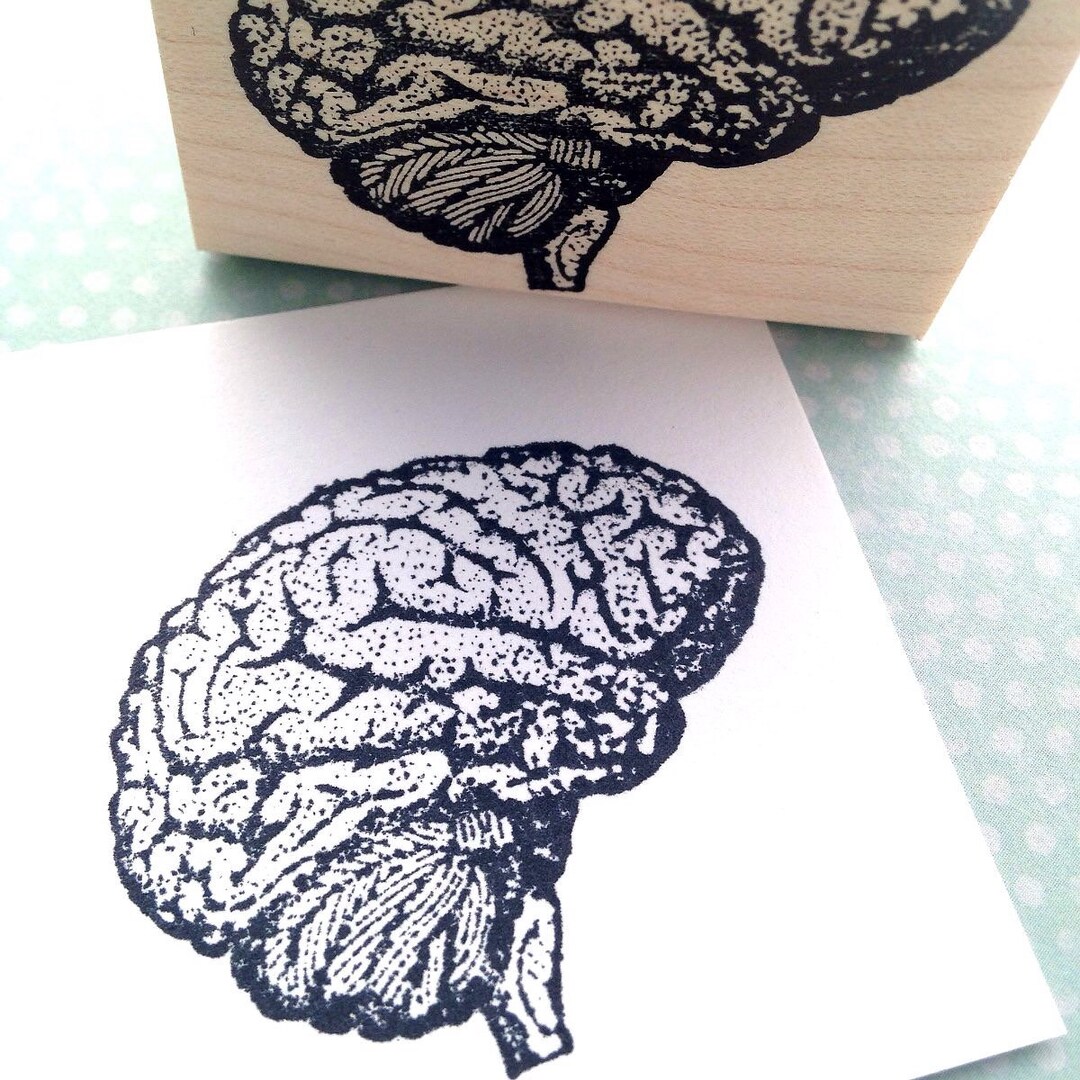 Brain Side View Wood Mounted Rubber Stamp 1284 - Etsy