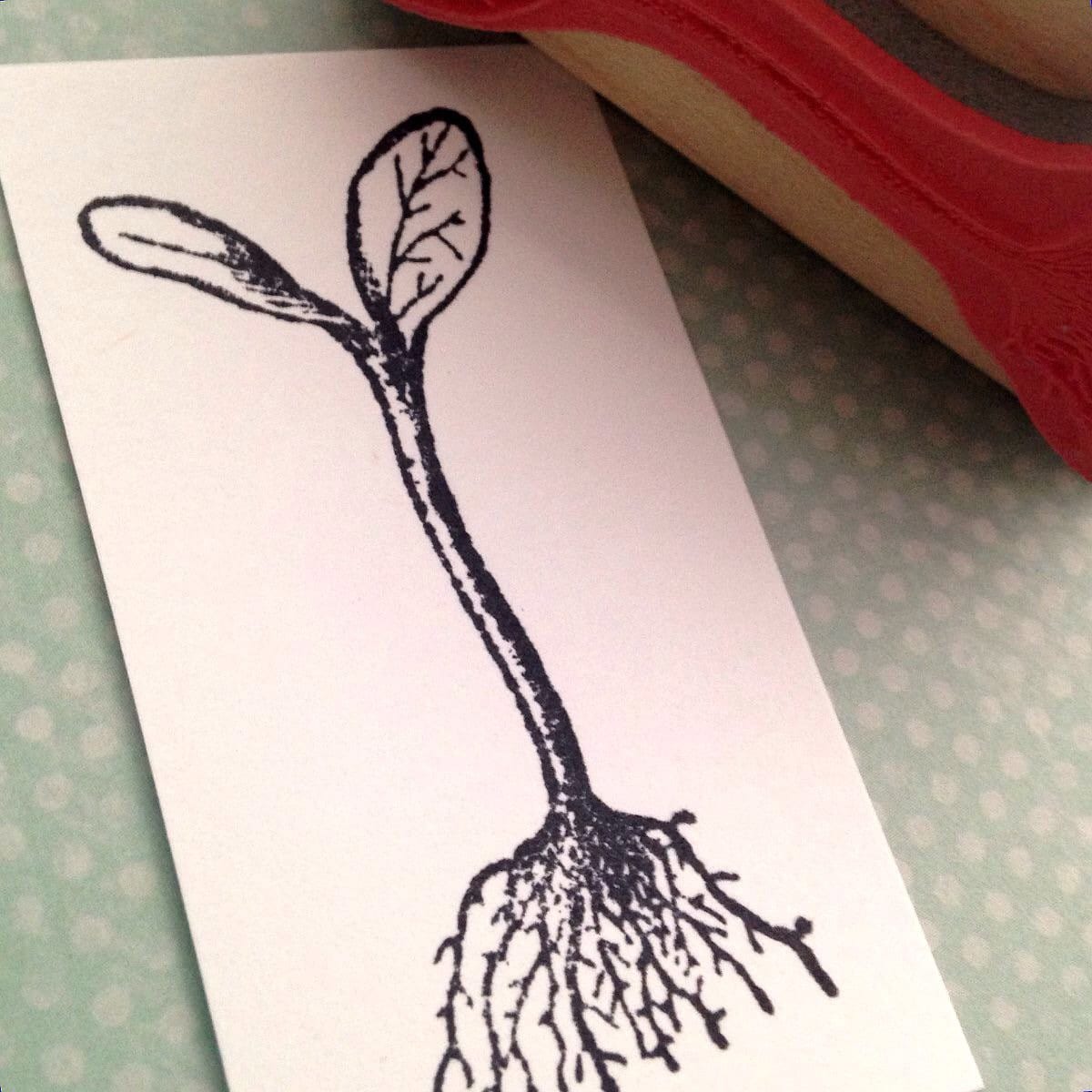Seed Sprouting Drawing