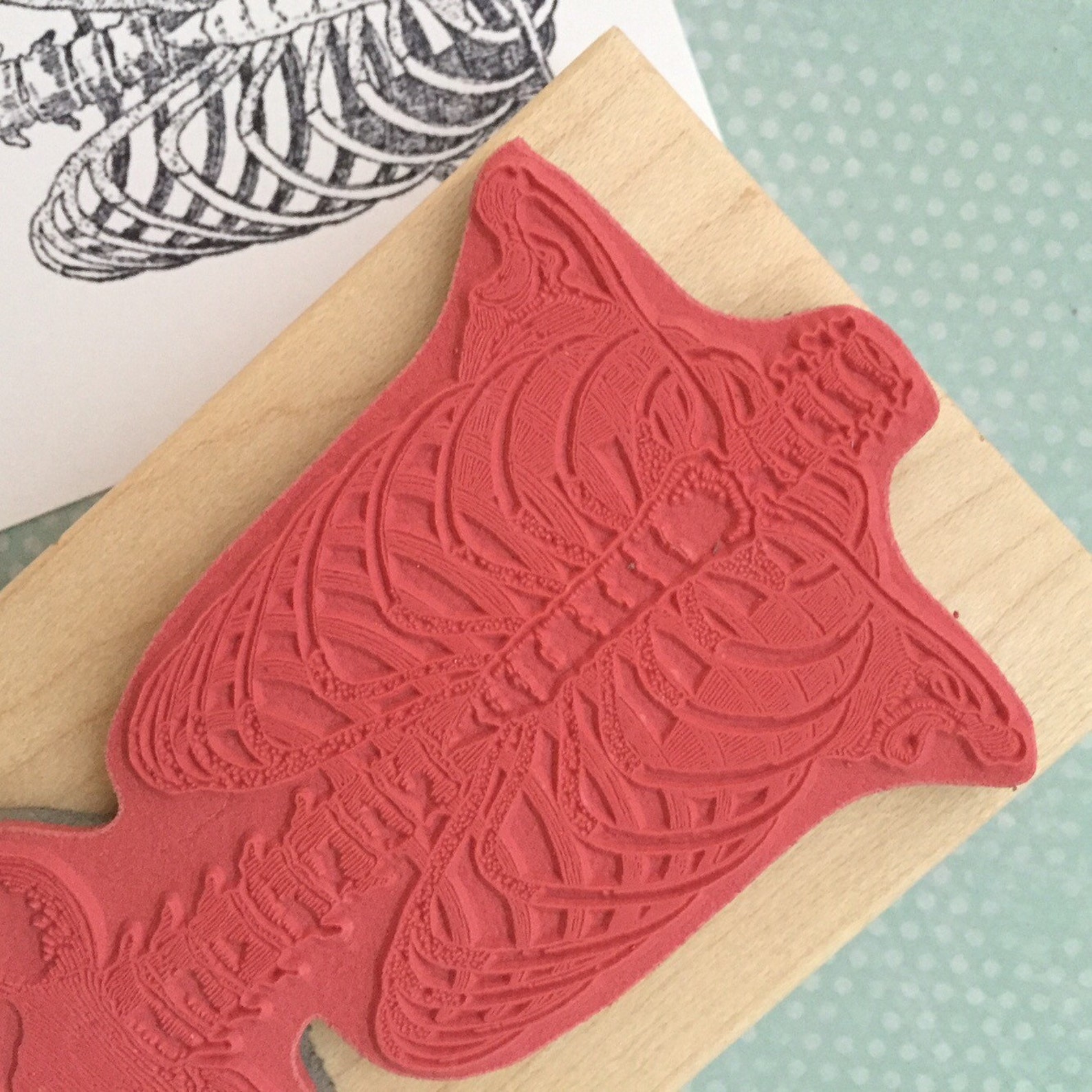Skeleton Torso Wood Mounted Rubber Stamp 5797 - Etsy