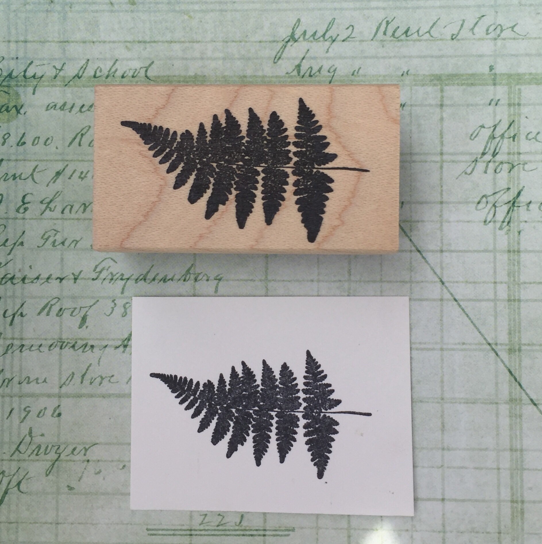 Fern Leaf Rubber Stamp 1765 - Etsy