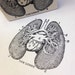 The Lungs Diagram Wood Mounted Rubber Stamp 6133 - Etsy