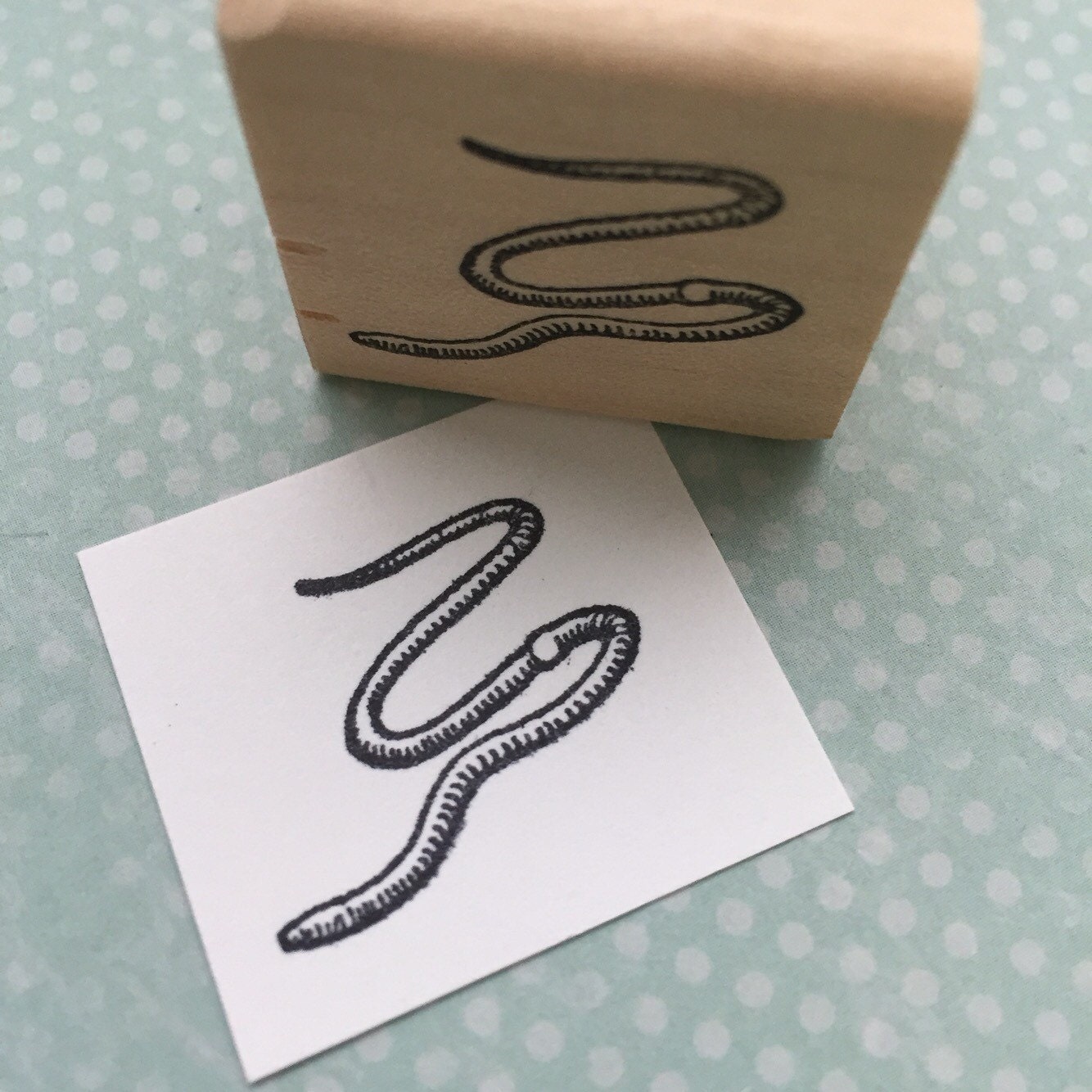 Earthworm Rubber Stamp 5270 - Etsy