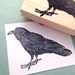 Large Raven Rubber Stamp 6484 - Etsy
