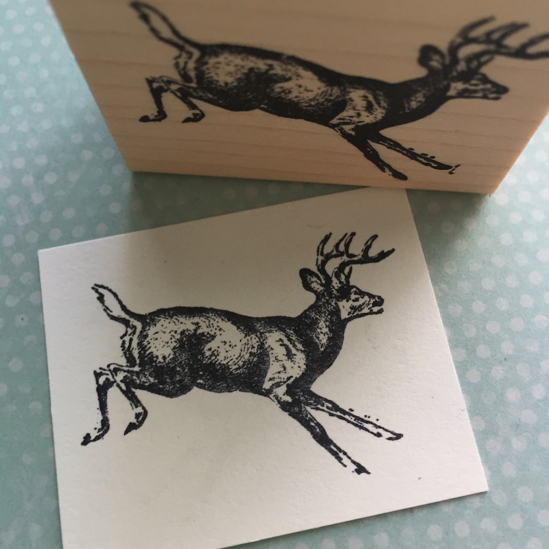 Buck Stamp - Etsy