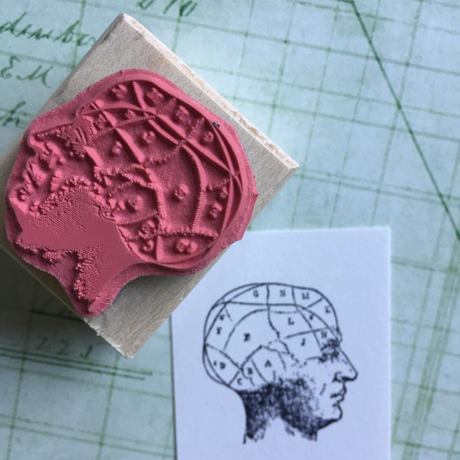 Small Diagramed Head Rubber Stamp - Etsy