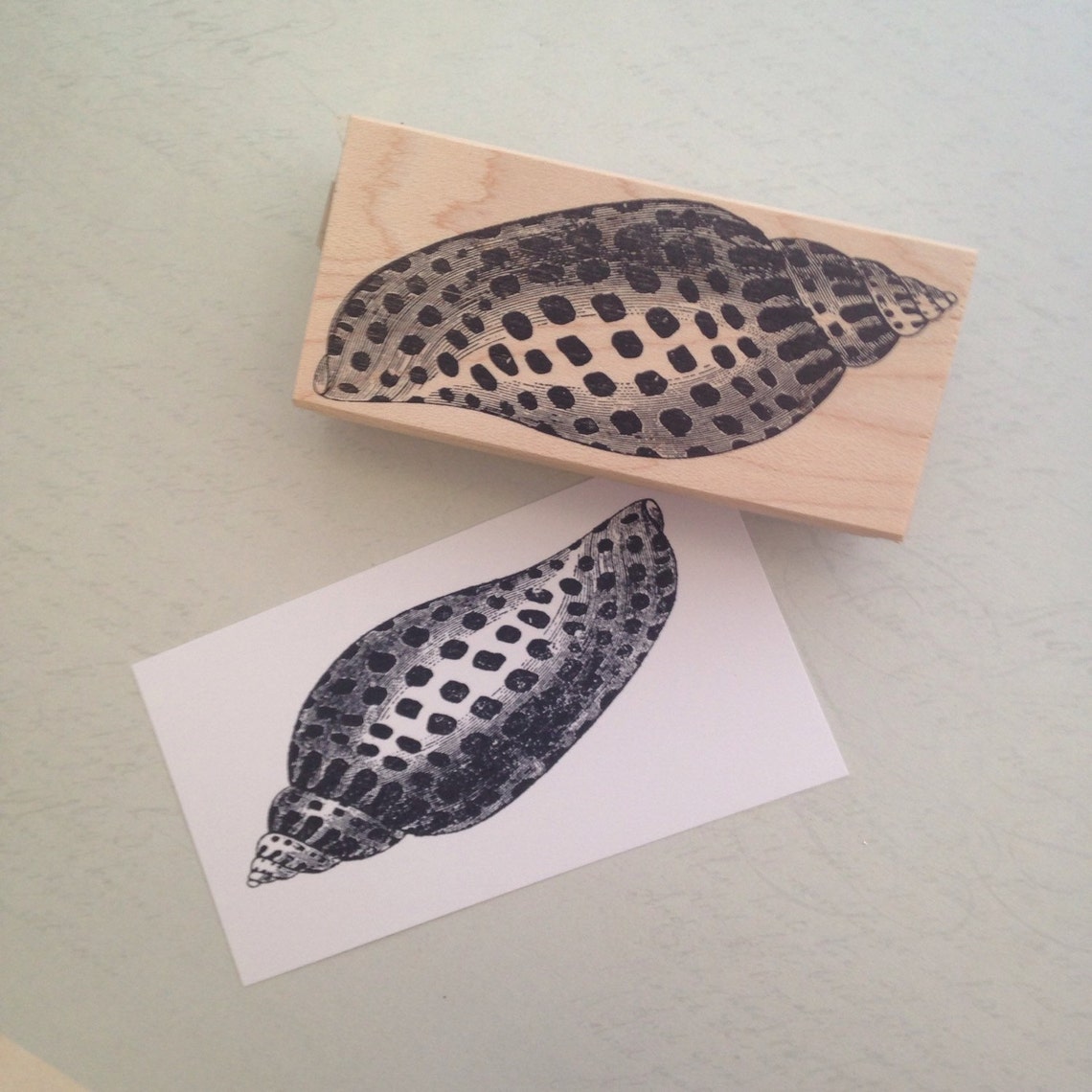 Seashell Rubber Stamp Handmade by 100 Proof Press 4612 | Etsy