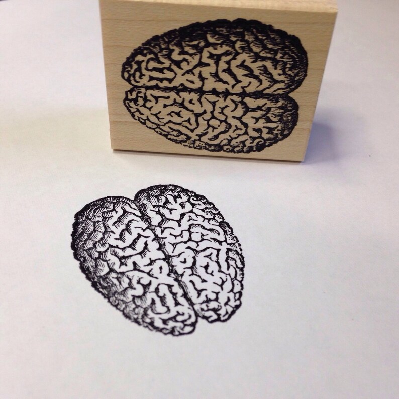 Brain Wood Mounted Rubber Stamp 4740 - Etsy