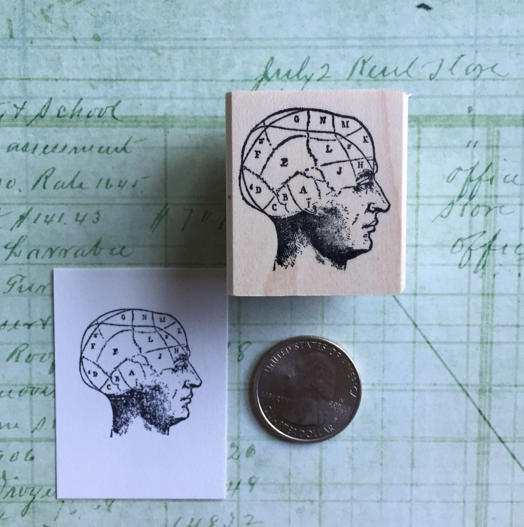 Small Diagramed Head Rubber Stamp - Etsy